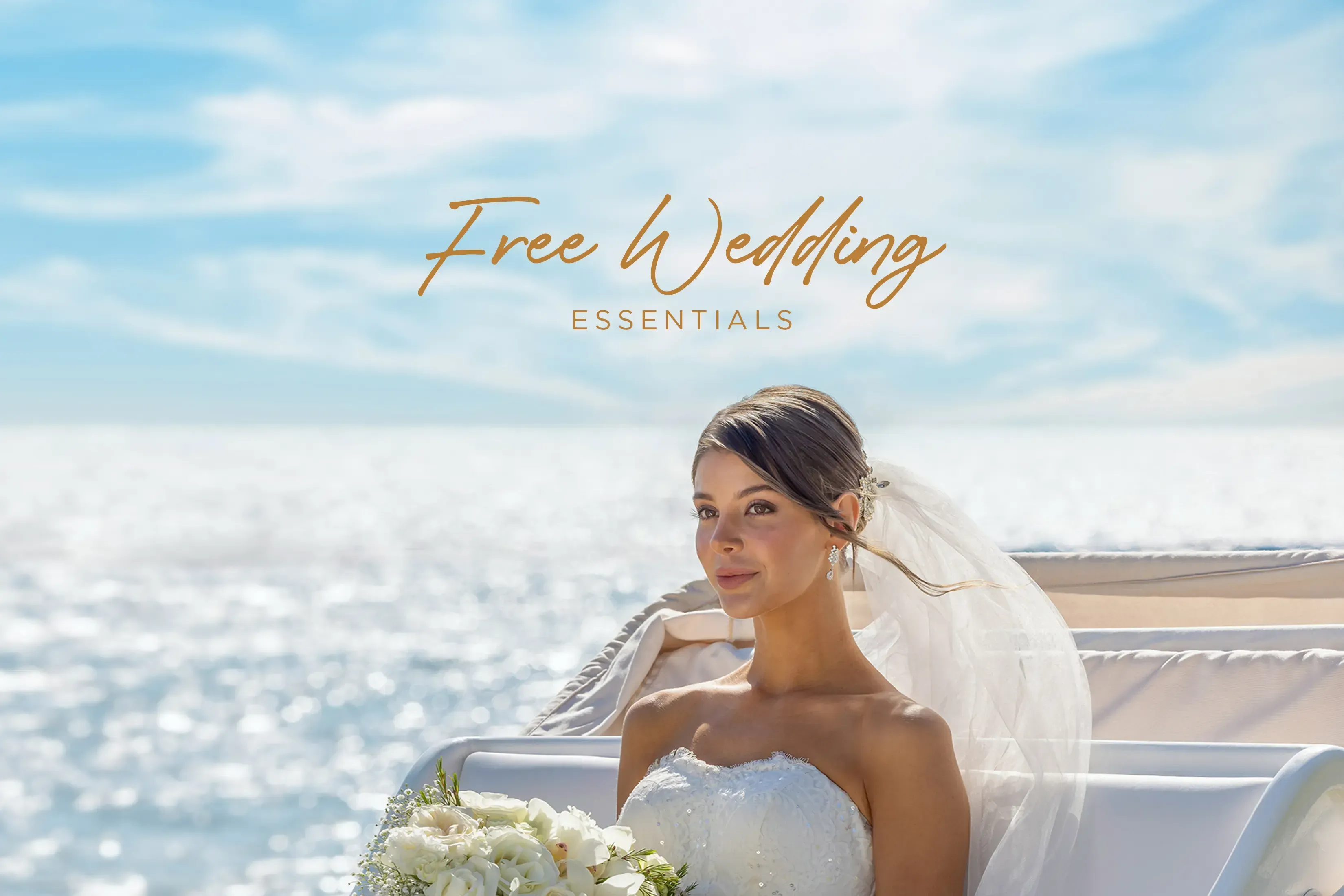 Unlock Special Wedding Offers | Palace PRO Agents