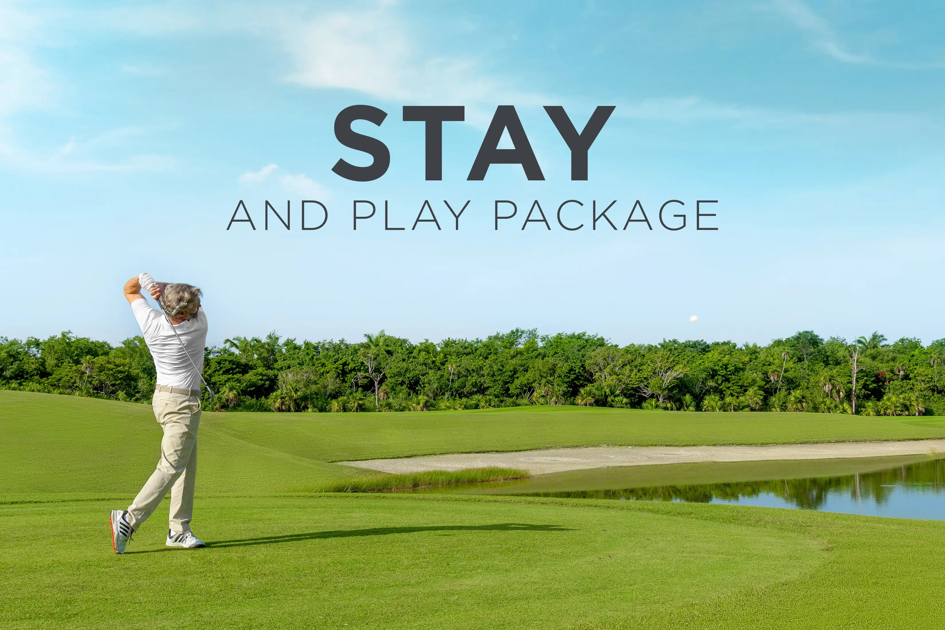 Discover Special Offers for your Clients | Palace PRO Agents